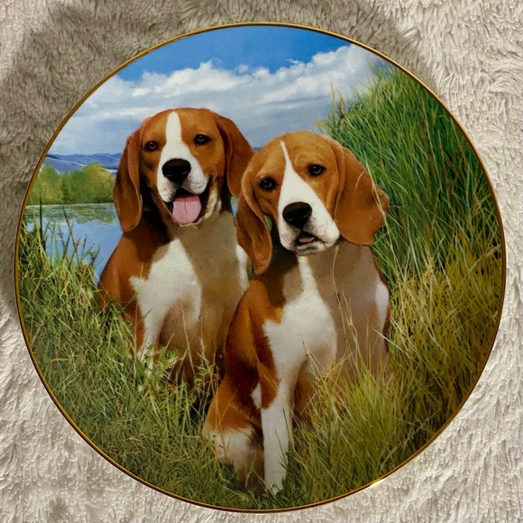 Danbury Mint | Accents | Vintage Beagles Collection Plate Eager Beagles ...
